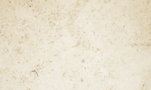 Moca Cream limestone. Portugal beige limestone. Portuguese limestone ...